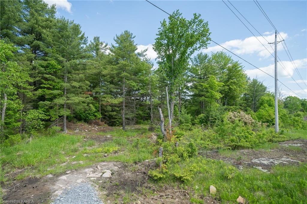 9800 Highway 38, Godfrey, Ontario K0H1T0 For Sale | HouseSigma